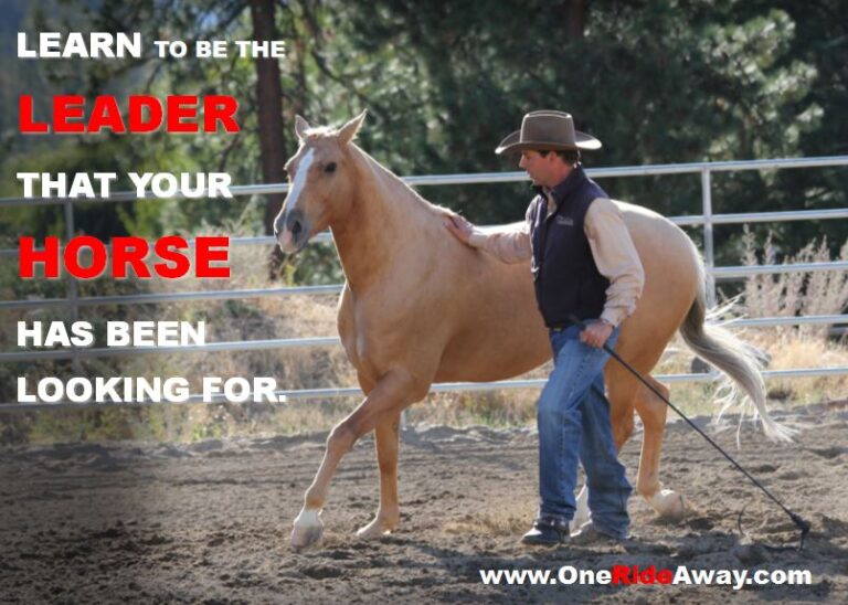 Horse Camps & Workshops | Rother Horsemanship