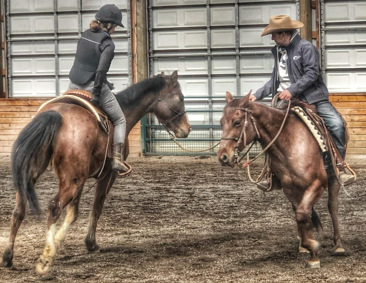 5-Day Colt Starting & Restart Camp – Rother Horsemanship